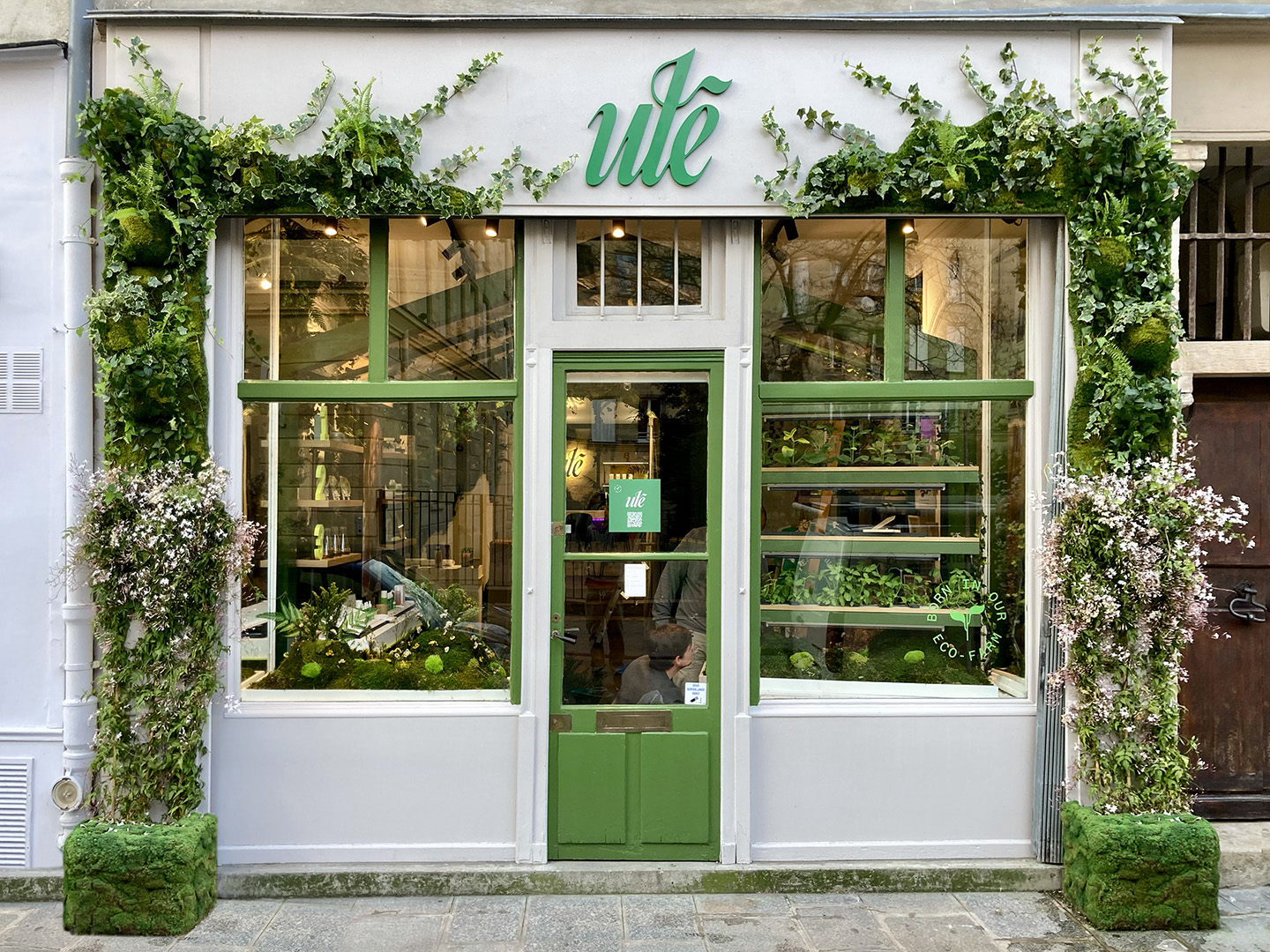 Ule - Monsieur Plant